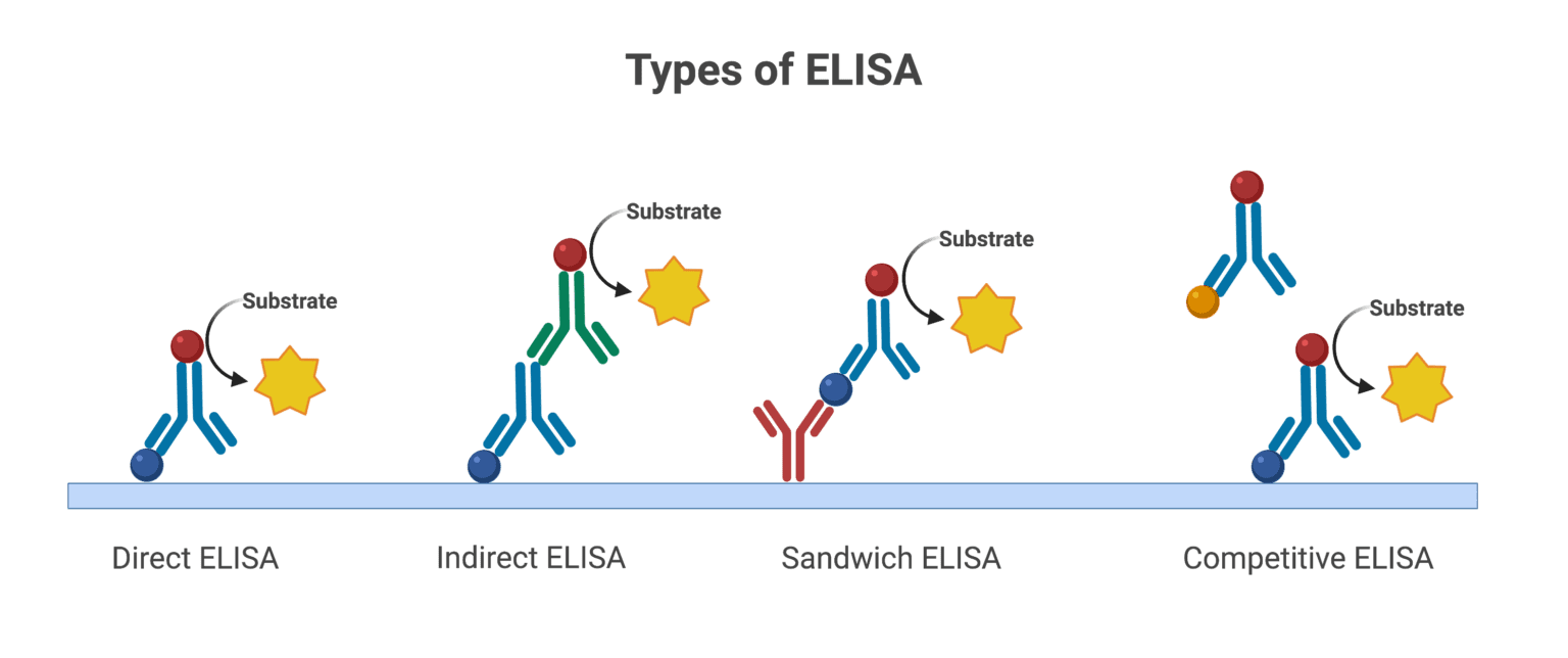 Human ELISA – Krishgen Biosystems
