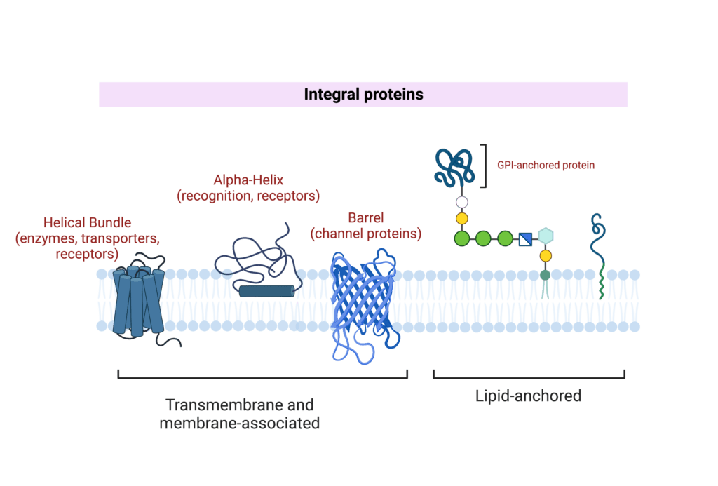 Transmembrane Proteins ELISA – Krishgen Biosystems