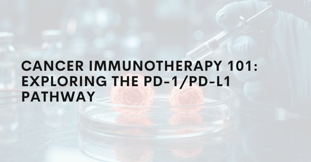 Cancer Immunotherapy 101: Exploring the PD-1/PD-L1 Pathway